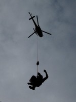 A decade of long line rescue – Oplopanax Horridus