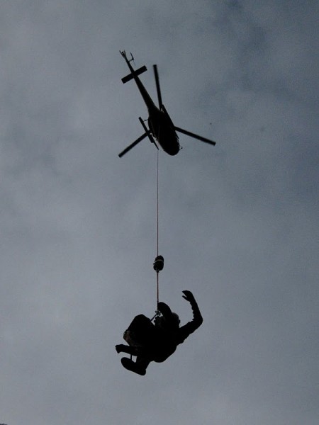 A decade of long line rescue – Oplopanax Horridus