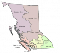 Long term SAR Trends in British Columbia – Oplopanax Horridus